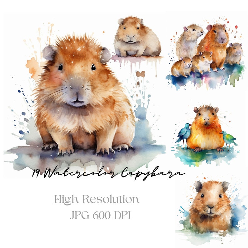 Watercolor Capybara Clipart 19 High Quality JPG Files - Etsy