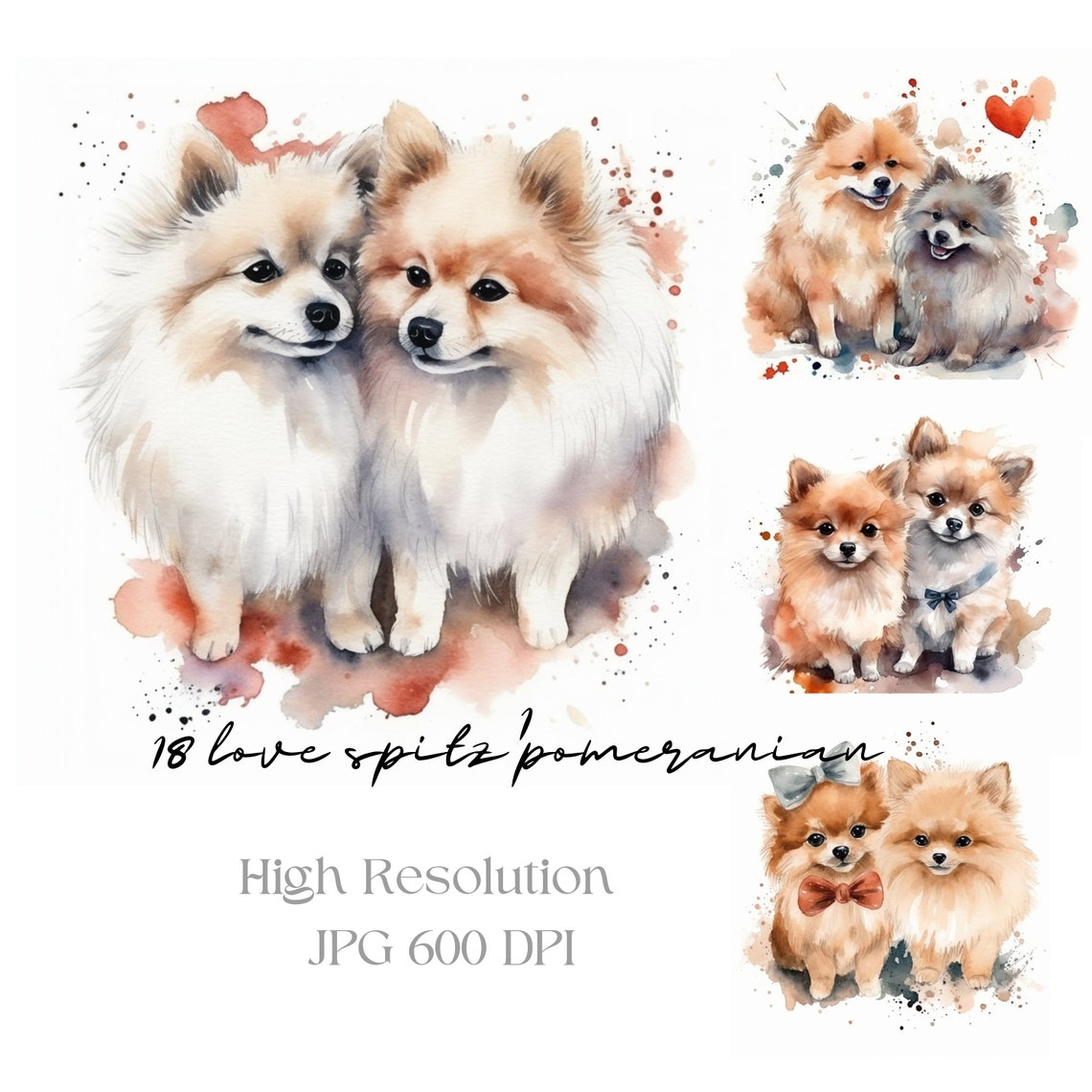 Pomeranian Puppy 18 ,digital Watercolor Clipart, Pomeranian Printable ...