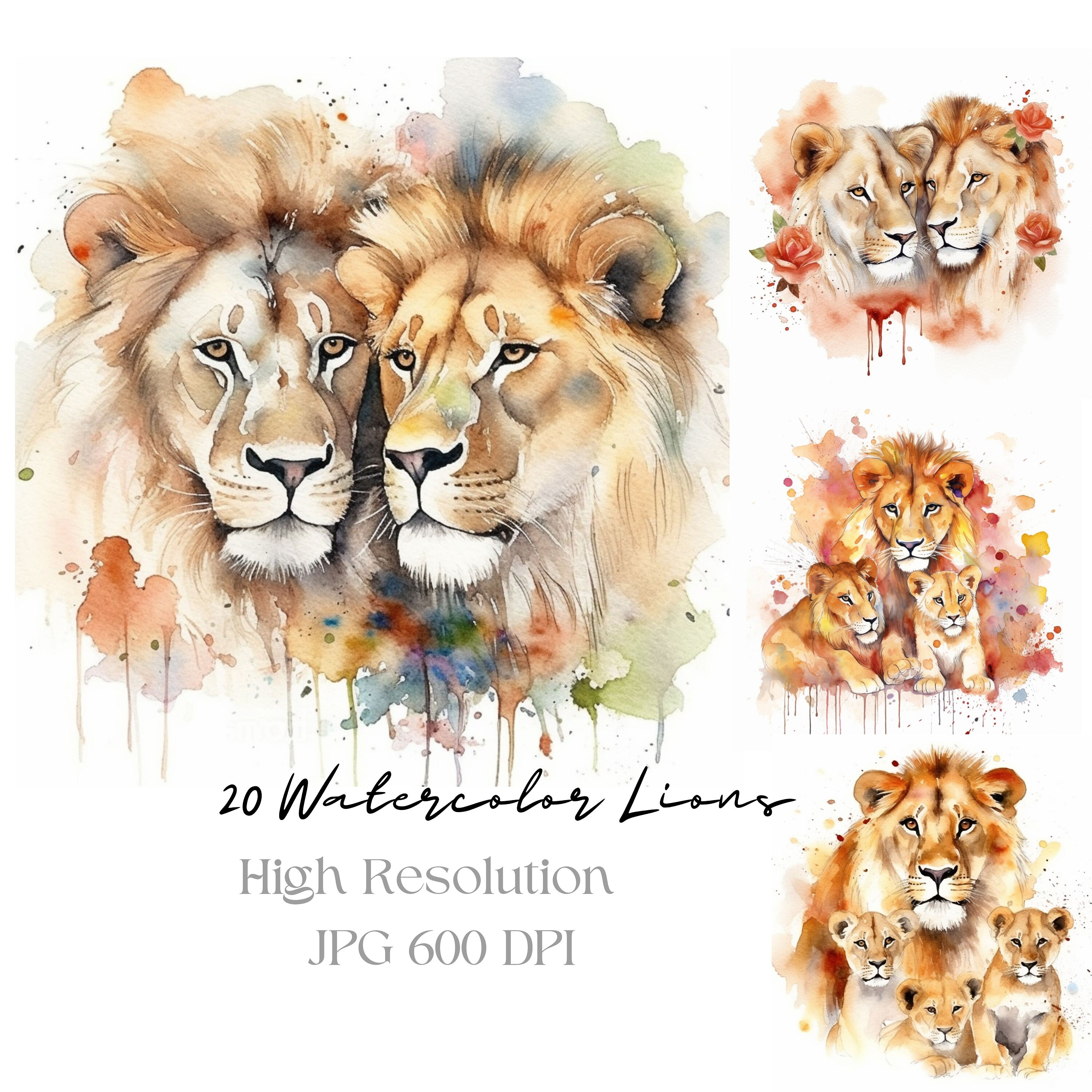 Watercolor Lion Clipart Safari Animal Art 20 High Quality JPG Digital ...