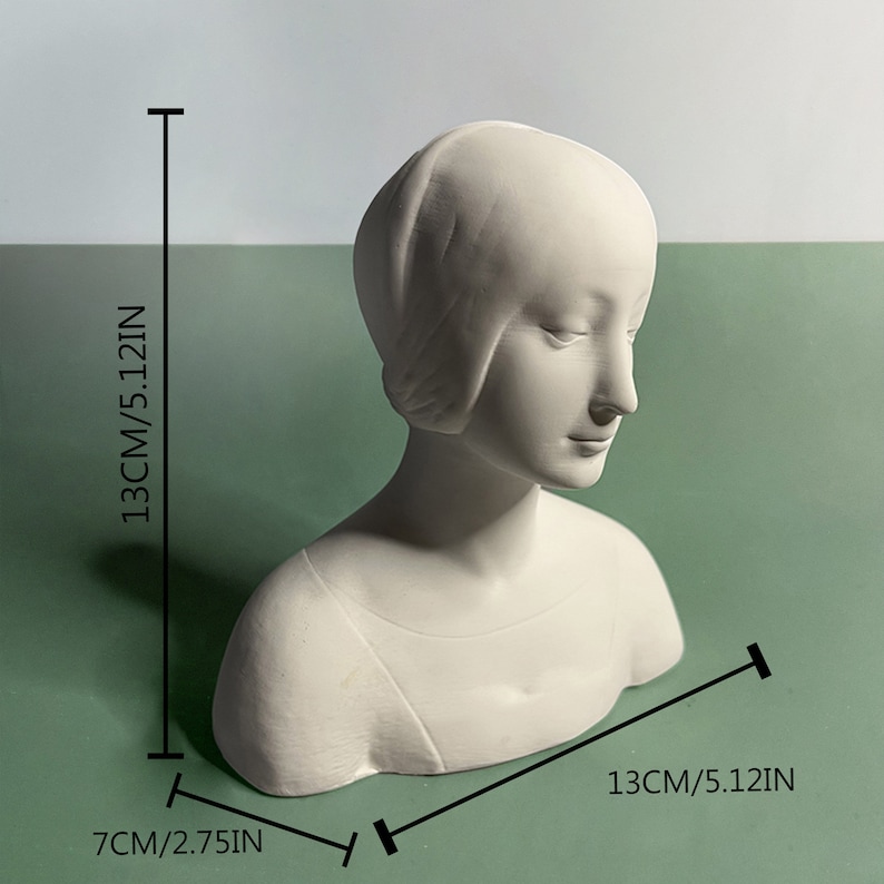 Bust of a Lady Plaster Statue Nordic Art Decor Study Room - Etsy