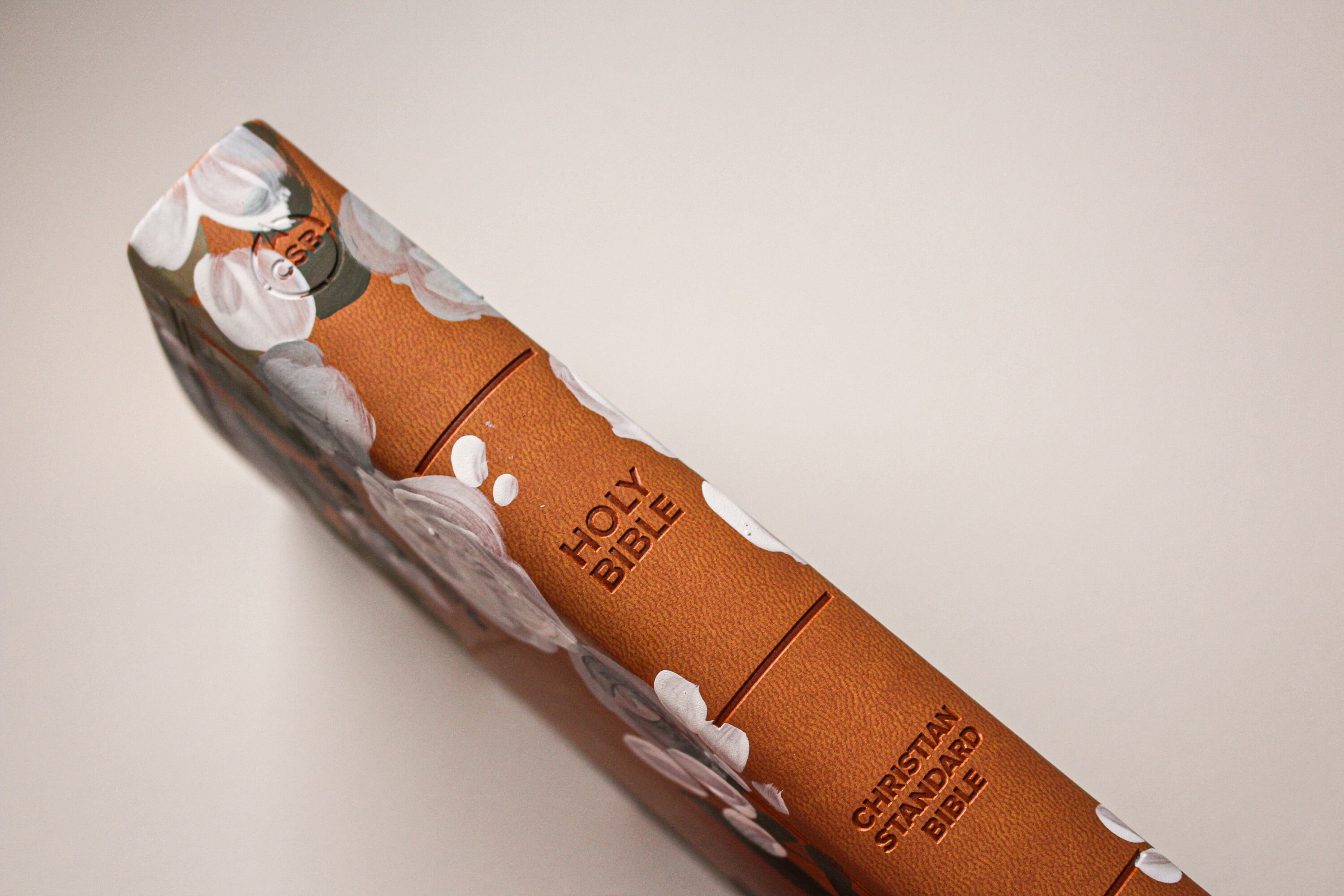 Custom Hand Painted Slimline CSB Bible red Letter - Etsy