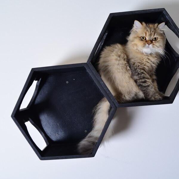 Cat Hexagon Shelves - Etsy