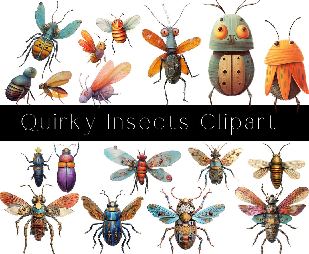 Whimsical Insect Clipart: Quirky Bug Graphics, Commercial Use (19 PNG ...