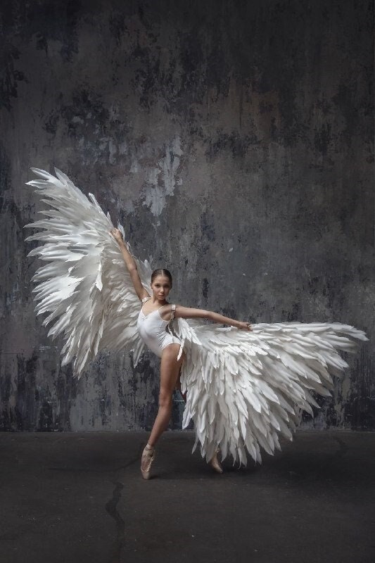 Fallen Angel Dance Costume