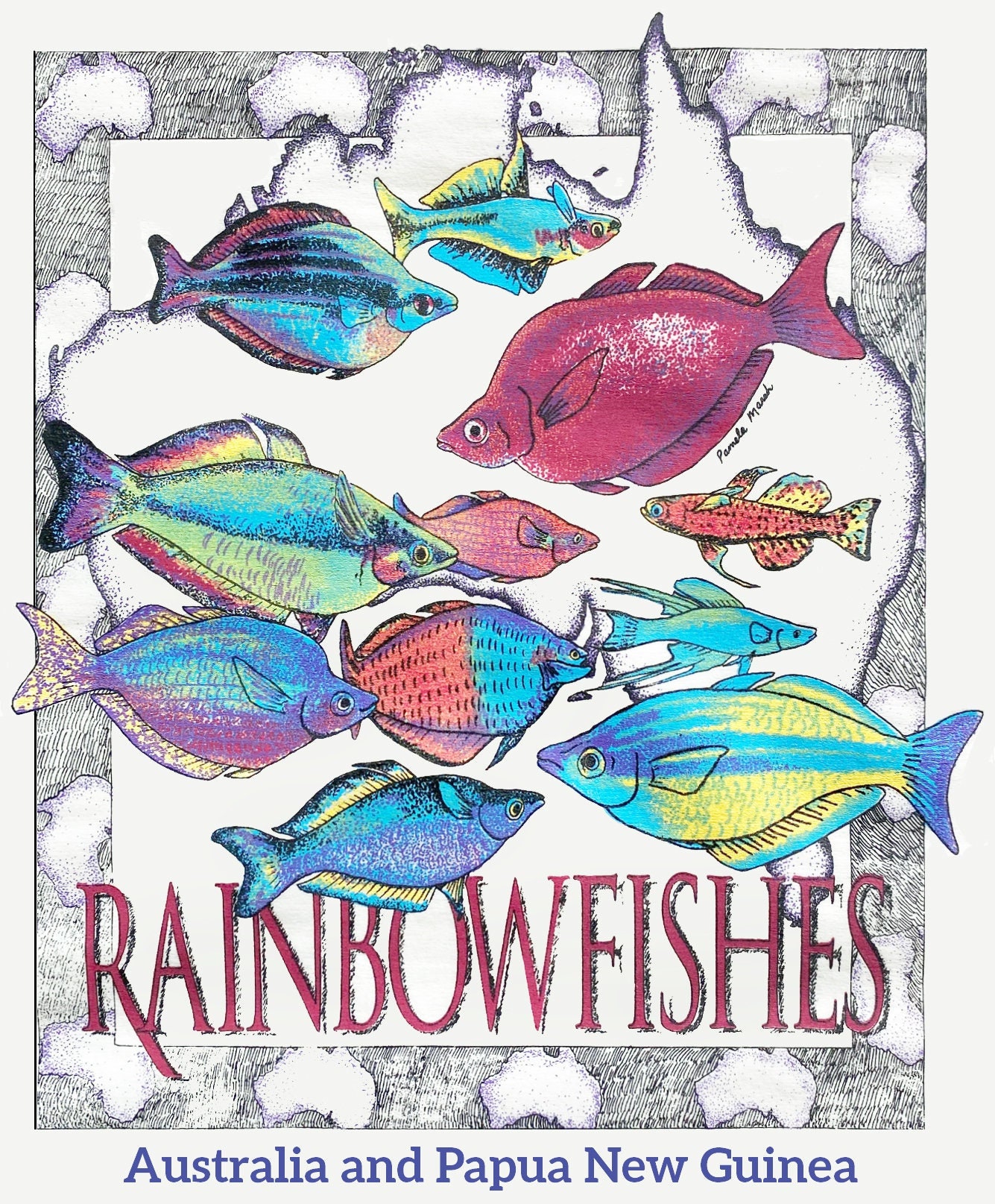 Australian Rainbow Fish Print 12x16 - Etsy