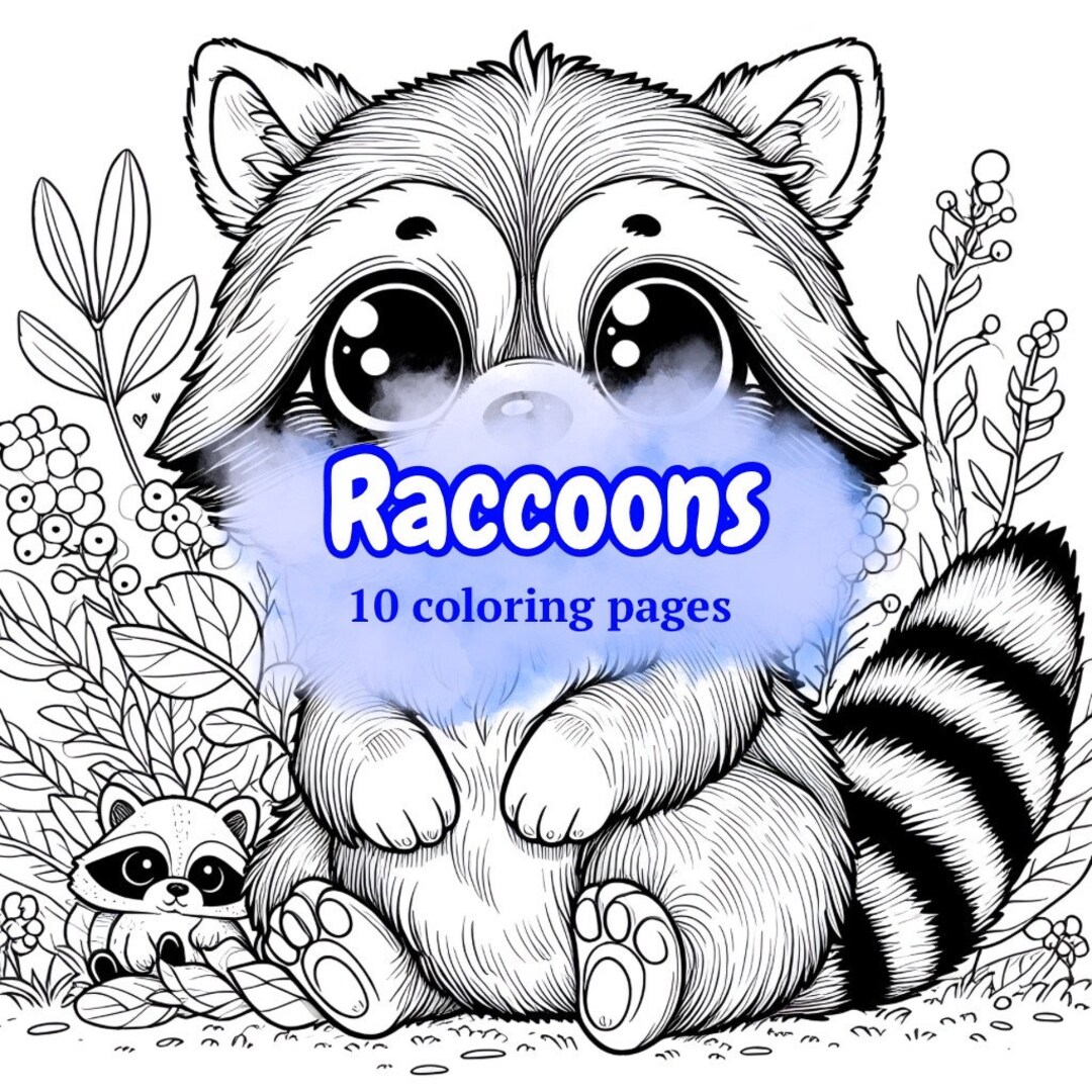 Coloring Book Raccoons for Kids - Etsy