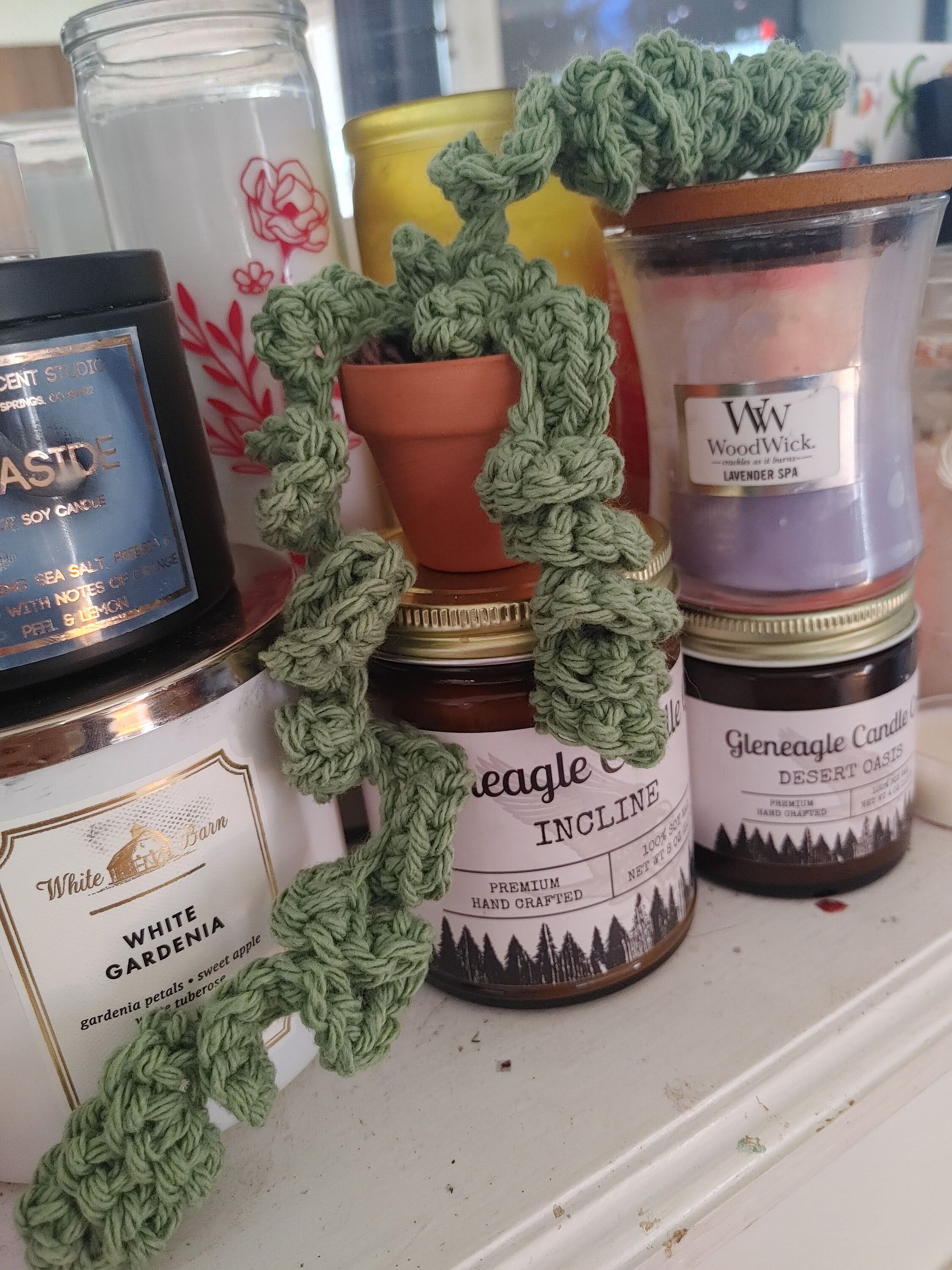 Crocheted Mini Plant - Etsy