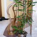 Ready-made Staircase Projects. Design to Order - Etsy