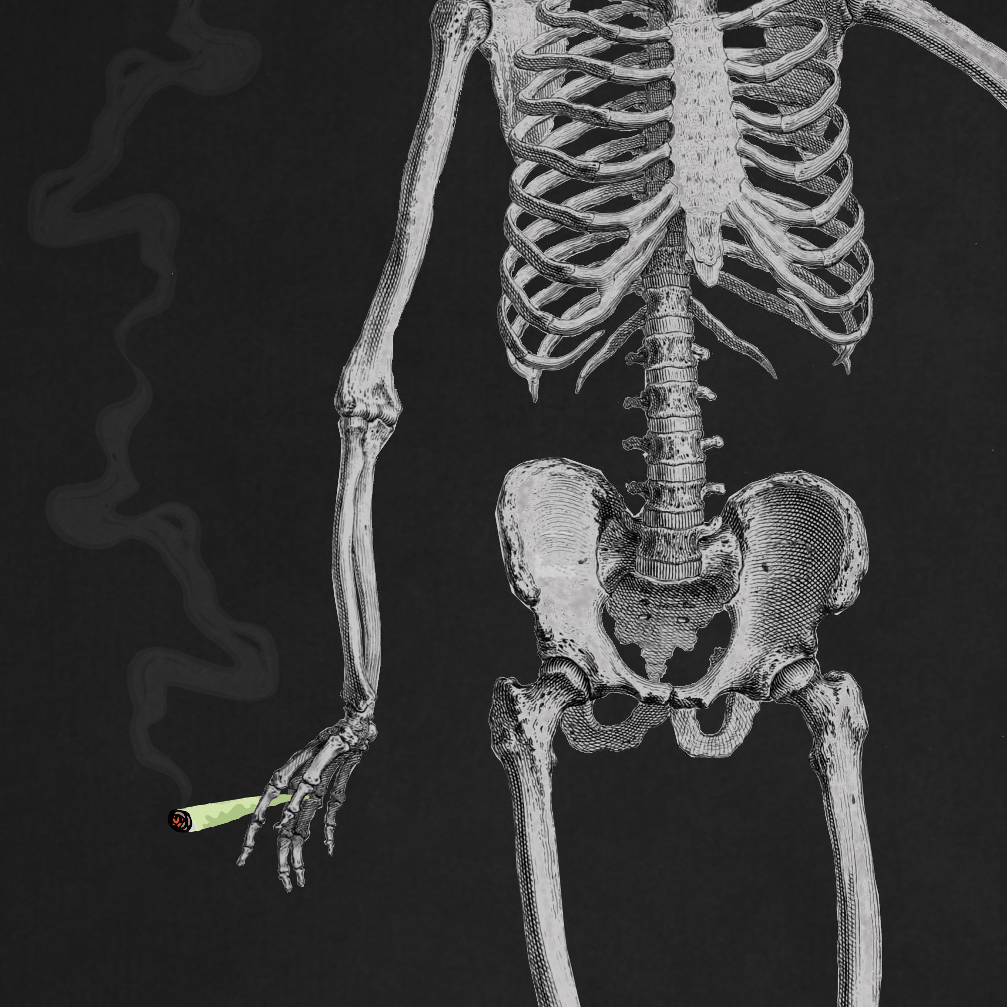 Dark Vintage Skeleton Drinking Beer Smoking Blunt Art Print, Academia ...