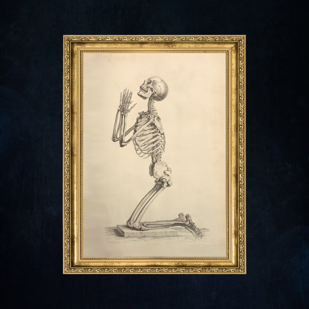 Praying Kneeling Skeleton Reproduction Anatomy Art Print, Anatomy of ...