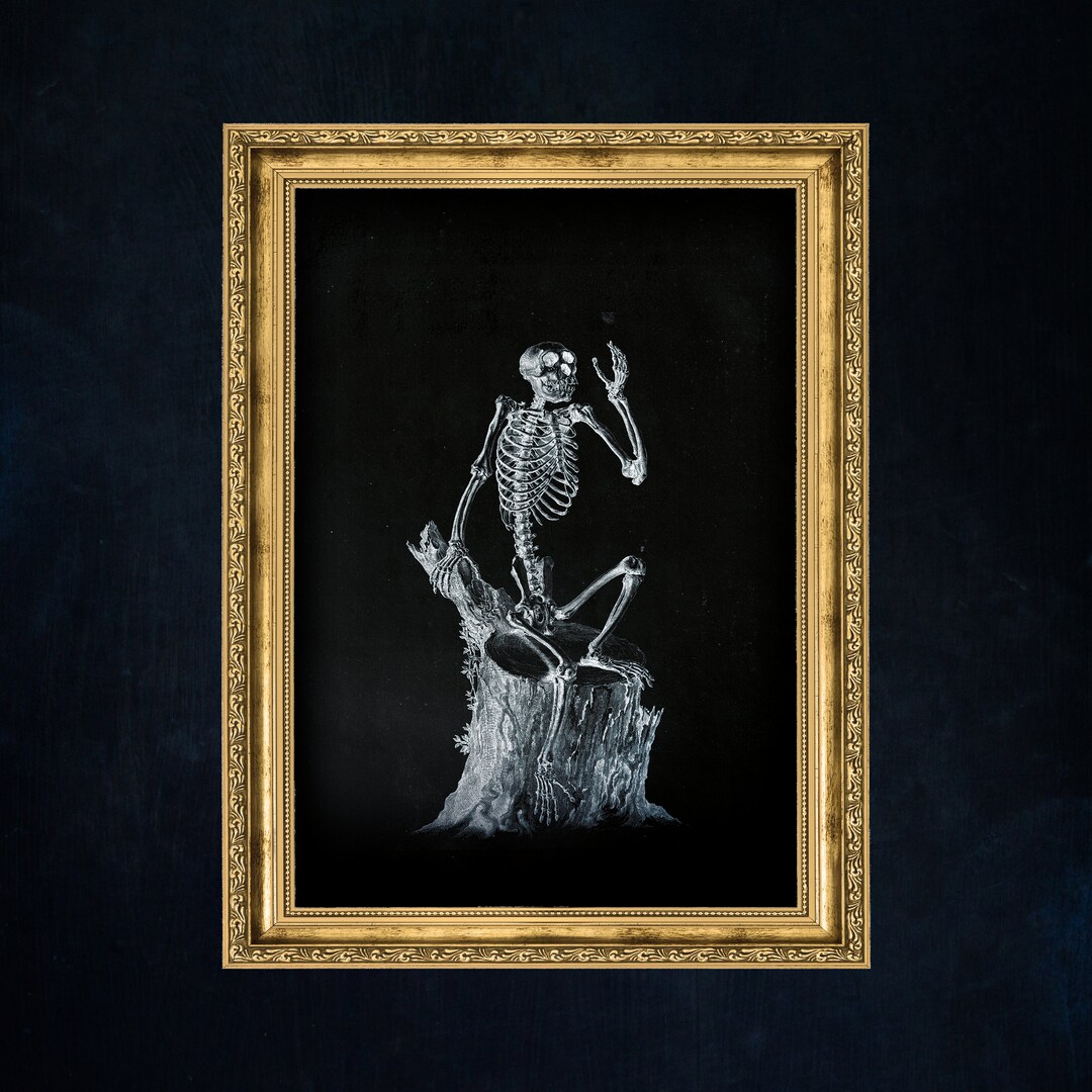 Monkey Skeleton Reproduction Art Print, Animal Anatomy, Anatomy of the ...