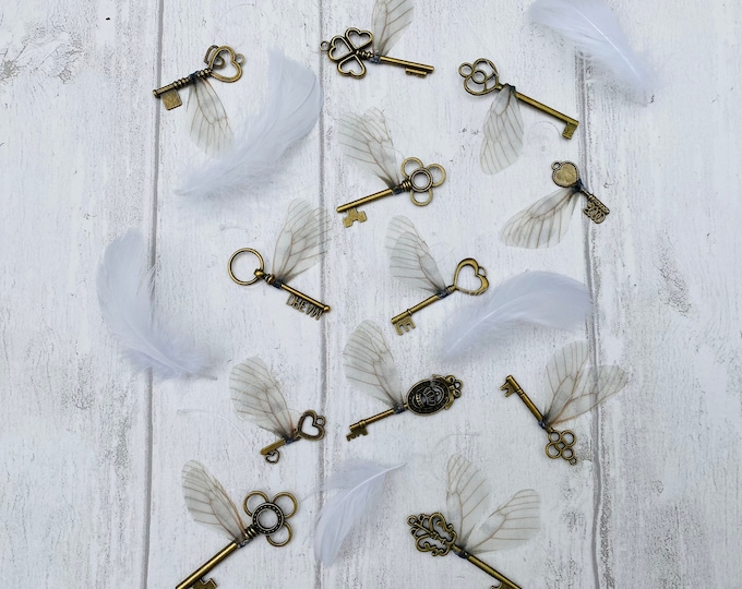 5 X Flying Keys With Wings Various Types and Sizes 5KEY5 - Etsy