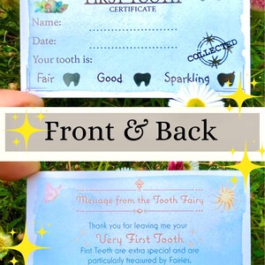 FIRST TOOTH Fairy Certificate & First Tooth Gold Coin! Lost First Tooth ...