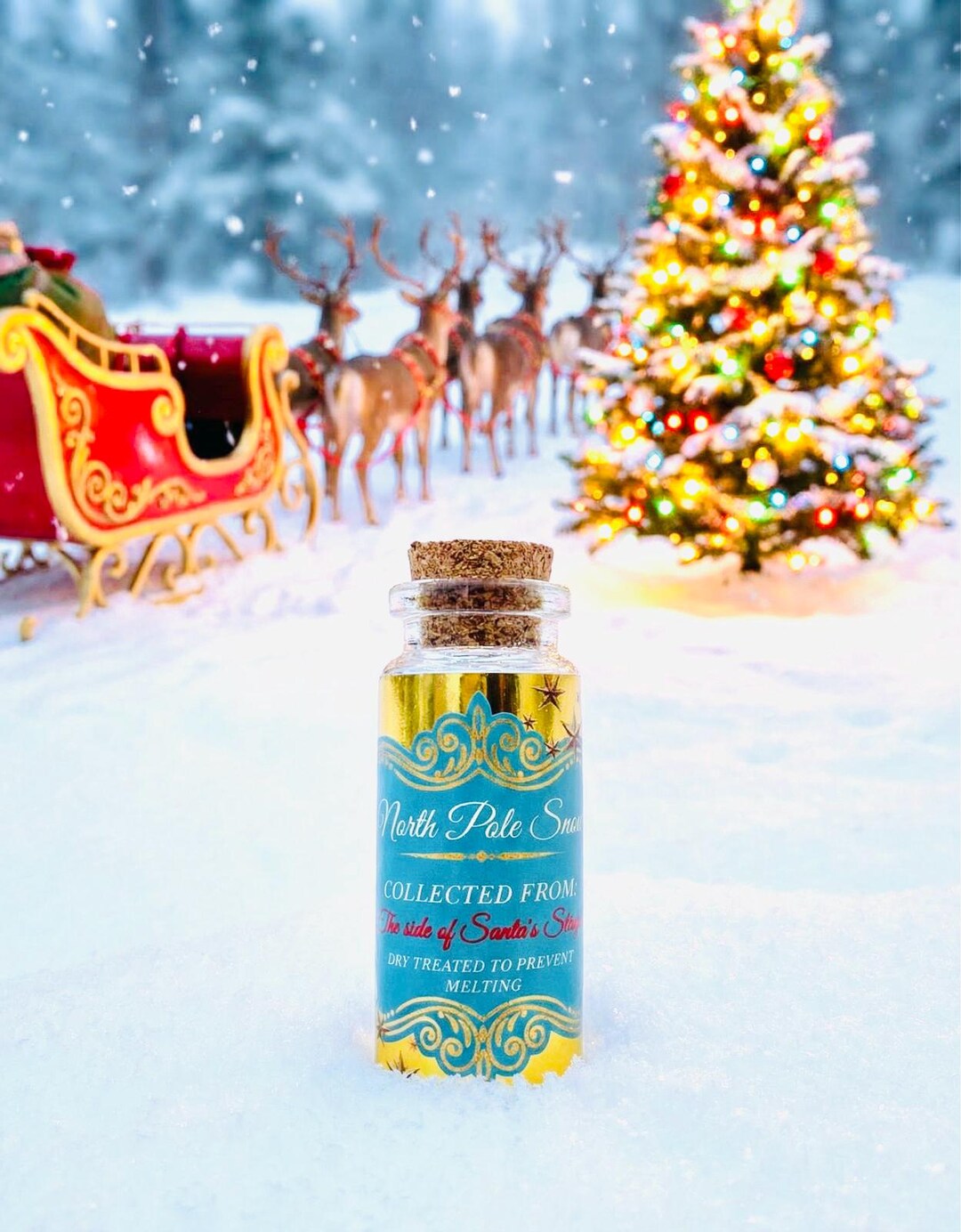 NORTH POLE SNOW! Collected by Elves and Dry Frozen to Prevent Melting ...