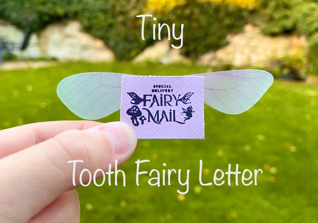 Little Tooth Fairy Letter, Fairy Dust & Gold Coin! Tooth Fairy Kit ...
