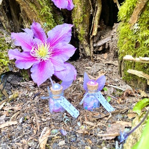 Fairy Treasure Perfect for Leaving by a Fairy Door, in the Garden or ...