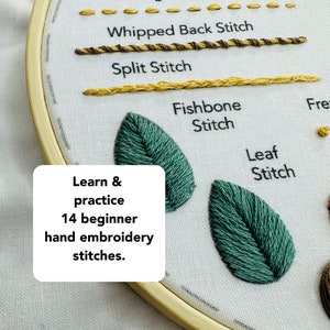 Hand Embroidery Sampler Pattern 1, Beginner Hand Embroidery Pattern, Modern Hand Embroidery ...