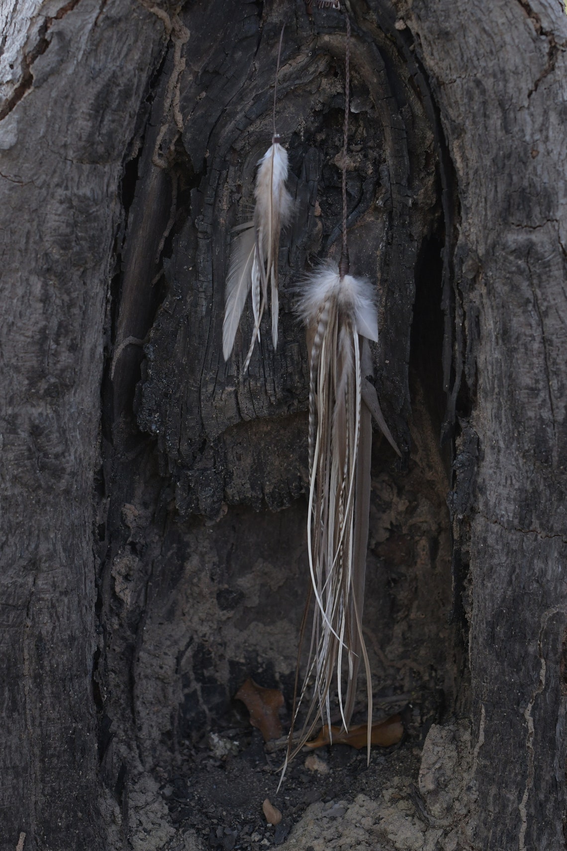 Feathers for Men. Natural Feathers on Clip. Unisex Feather Hairpin ...