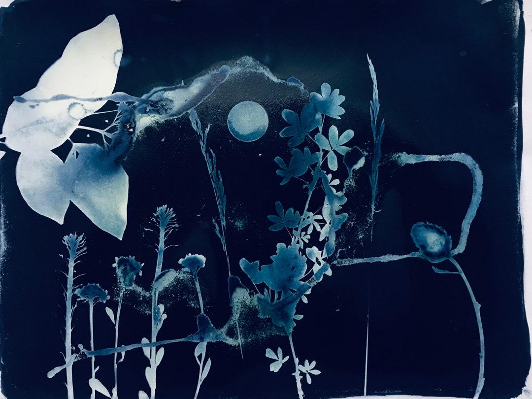 Original Cyanotype on Printmaking Paper - Etsy