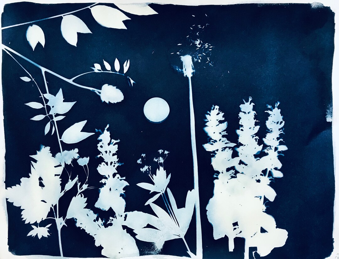 Original Cyanotype on Printmaking Paper - Etsy