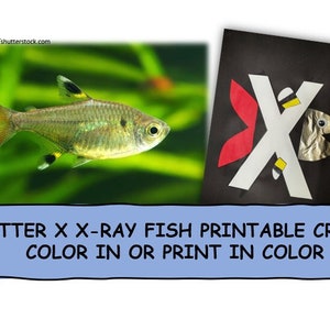Letter X X-ray Fish Printable - Color in or Print in Color -cut and ...