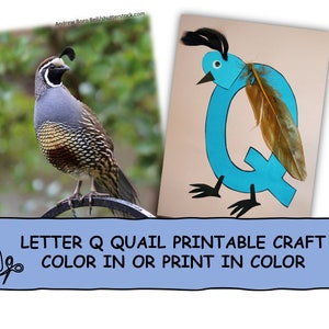 Letter Q Quail Printable - Color in or Print in Color - Cut and Paste ...