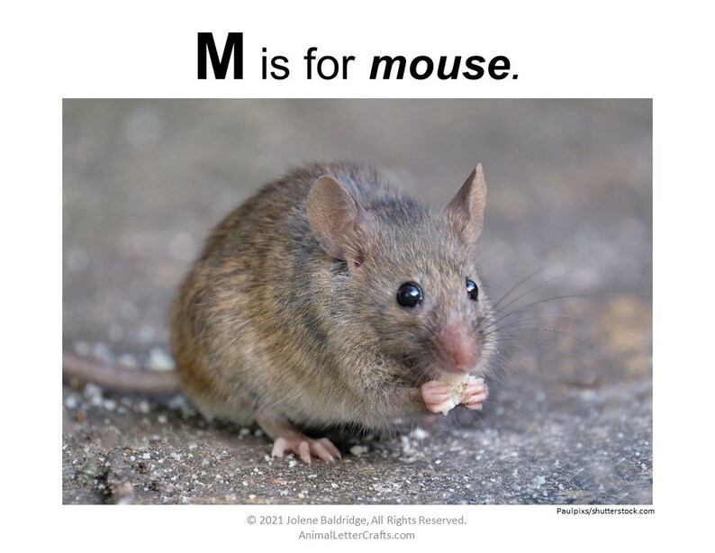 Letter M Mouse Printable for Classroom Cut and Paste - Etsy