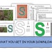 Letter S Snake Printable - Color in or Print in Color - Cut and Paste ...