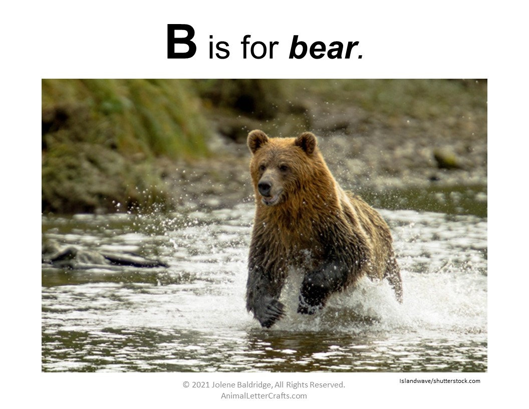 Letter B Bear Craft Printable: Phonics Activity (digital Download) - Etsy