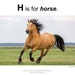 Letter H Horse Printable for Classroom - Cut and Paste Alphabet Craft ...
