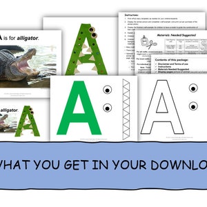 Letter A Alligator Printable - Color in or Print in Color - Cut and ...