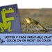 Letter F Frog Craft: Printable Alphabet Activity (digital Download ...