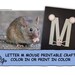 Letter M Mouse Printable - Color in or Print in Color - Cut and Paste ...