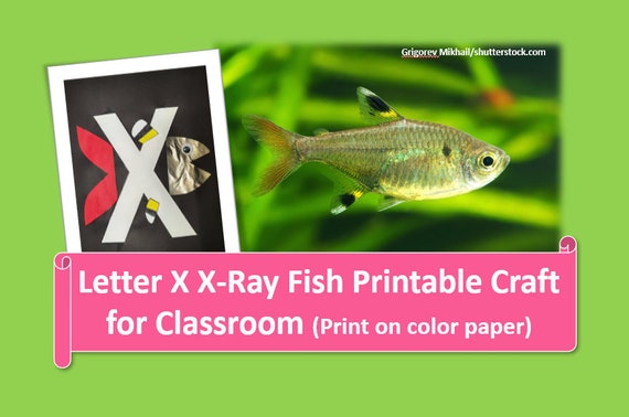 Animal Alphabet X Is For Xray Fish Craft Letter X