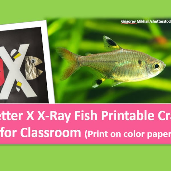 X Ray Fish - Etsy