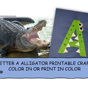 Letter A Alligator Printable - Color in or Print in Color - Cut and ...