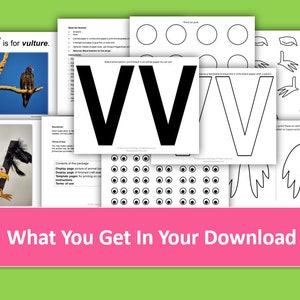 Letter V Vulture Printable for Classroom - Cut and Paste Alphabet Craft ...