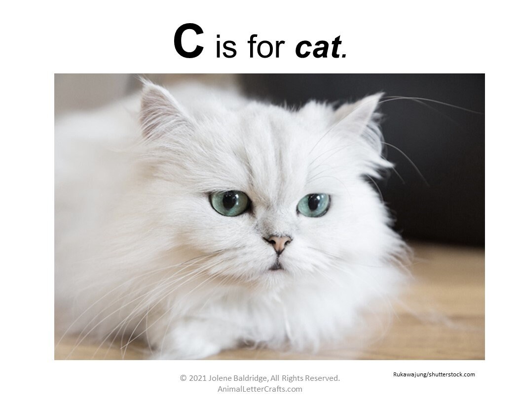 Letter C Cat Printable for Classroom Cut and Paste Alphabet Craft ...