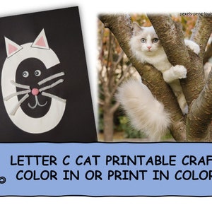 Letter C Cat Craft Printable: Alphabet Activity (digital Download) - Etsy