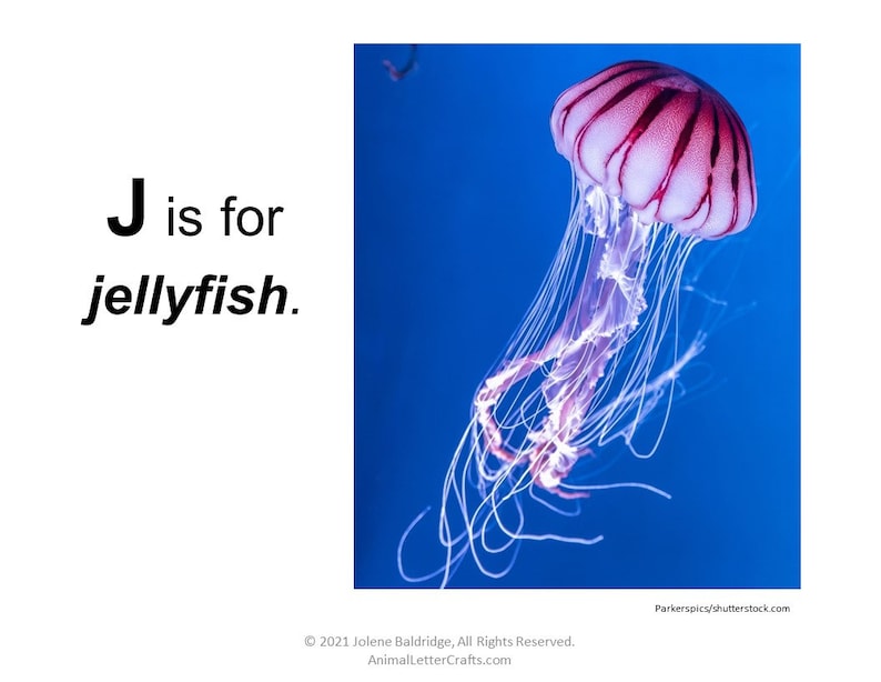 Letter J Jellyfish Printable for Classroom - Cut and Paste Alphabet ...