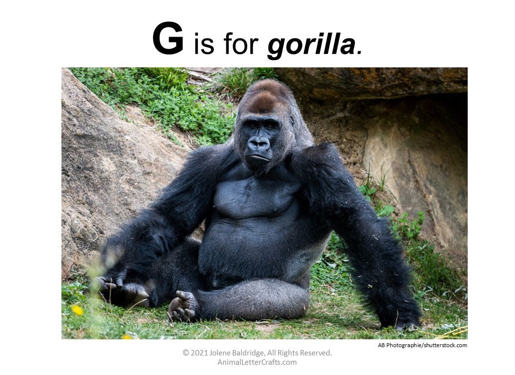Letter G Gorilla Craft: Cut & Paste Alphabet Activity (digital Download ...