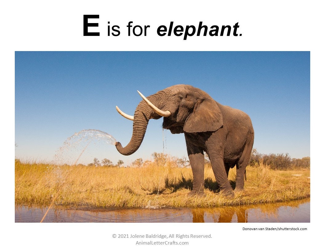 Letter E Elephant Printable for Classroom - Cut and Paste Alphabet ...