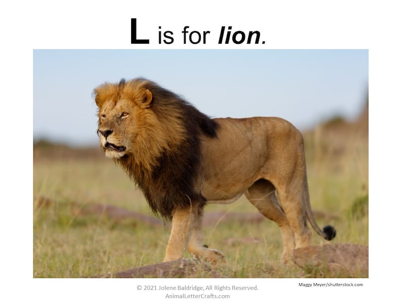 Letter L Lion Printable for Classroom Cut and Paste Alphabet Craft ...