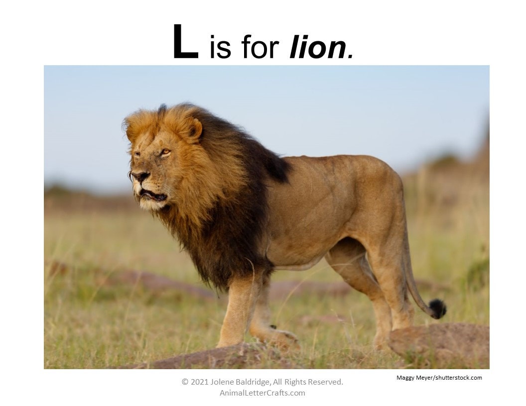 Letter L Lion Printable for Classroom Cut and Paste Alphabet Craft ...