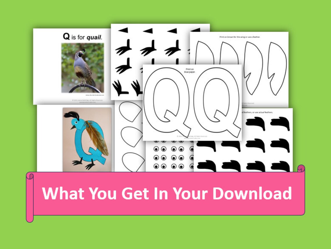 Letter Q Quail Printable for Classroom - Cut and Paste Alphabet Craft ...