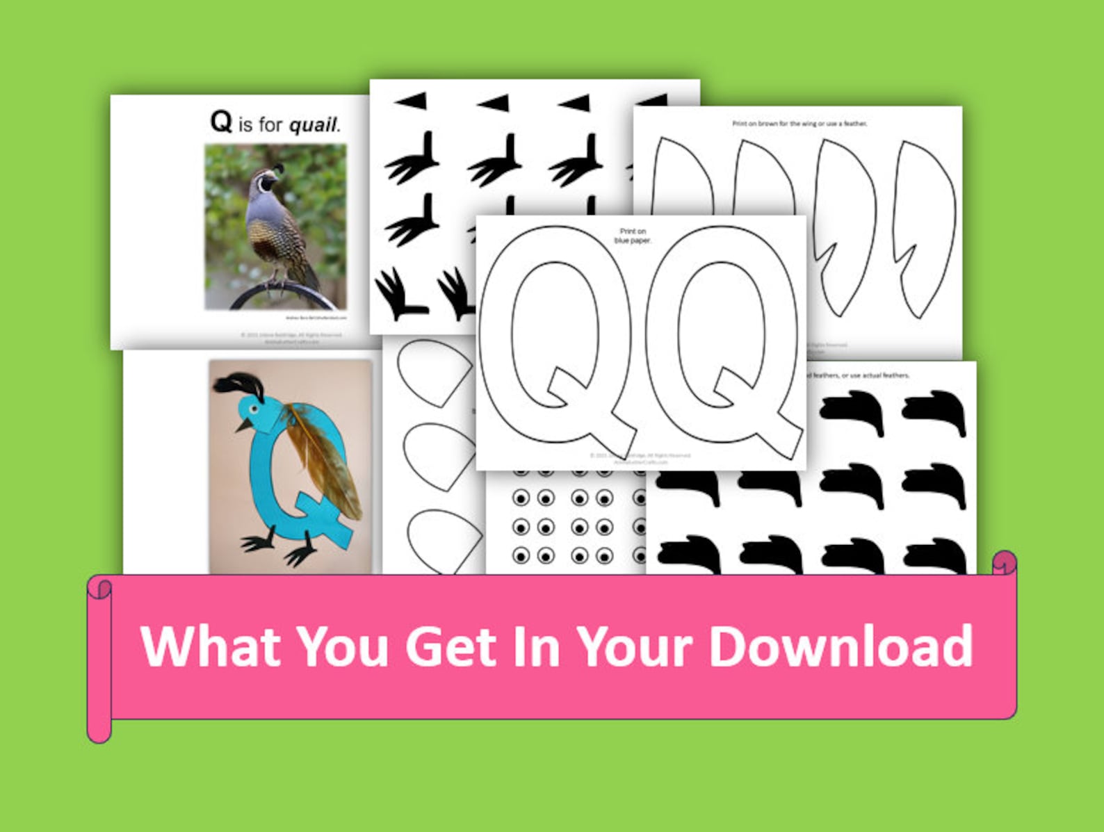 Letter Q Quail Printable for Classroom - Cut and Paste Alphabet Craft ...