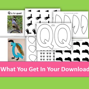 Letter Q Quail Printable for Classroom Cut and Paste Alphabet Craft ...