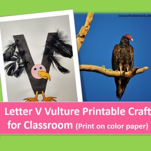 Letter V Vulture Craft: Cut & Paste Alphabet (digital Download) - Etsy