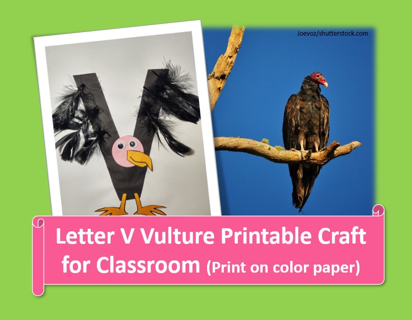 Letter V Vulture Craft