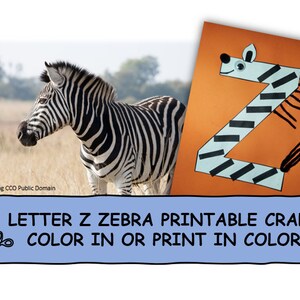 Letter Z Zebra Printable - Color in or Print in Color - Cut and Paste ...